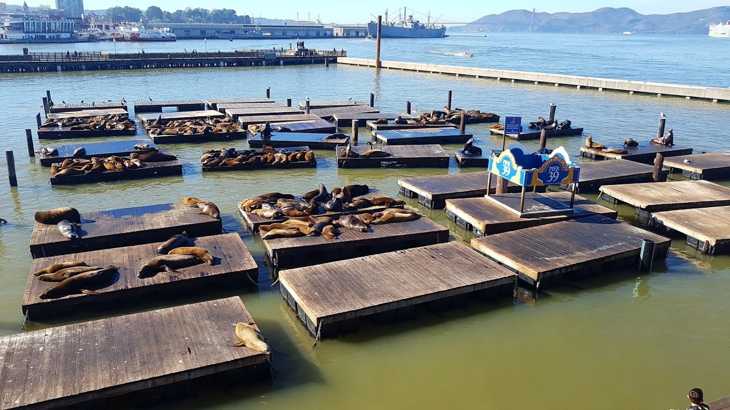 Alcatraz Island in 360º - Ash Blagdon 360º Photography
