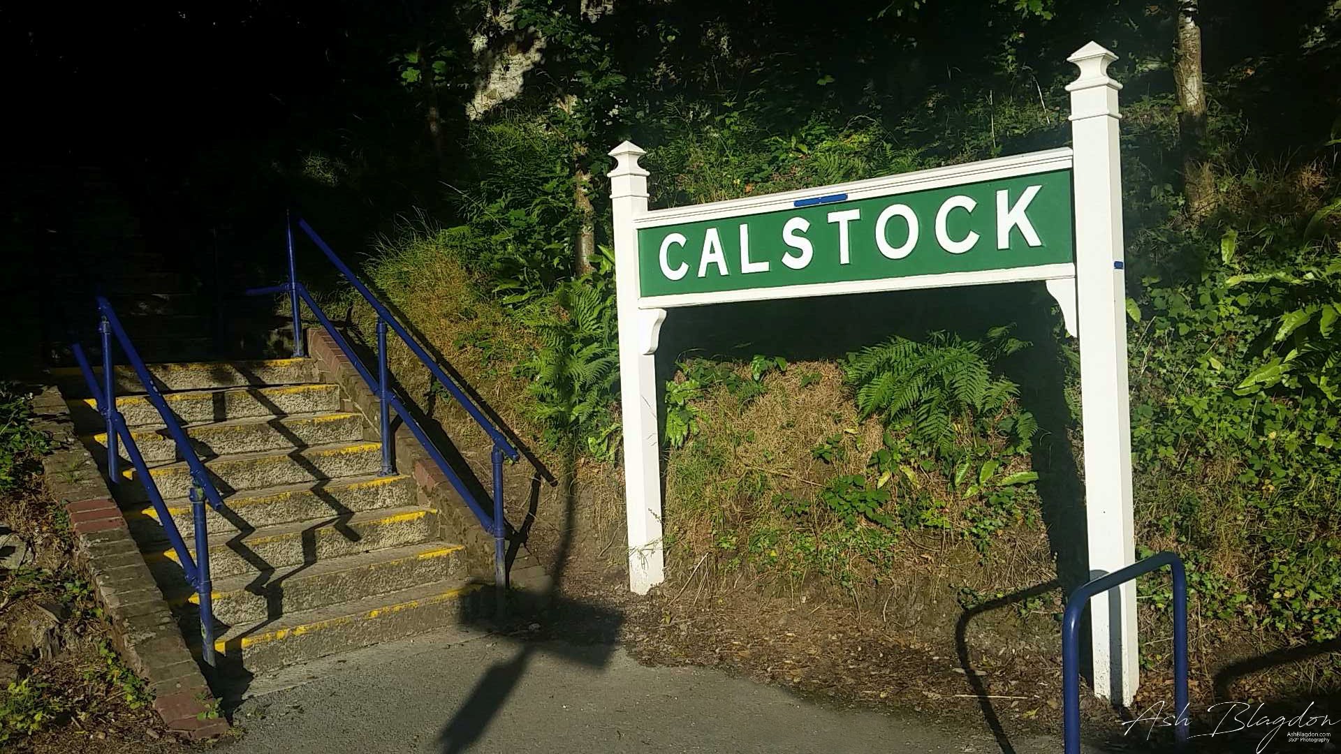 Calstock in 360º - Ash Blagdon 360º Photography