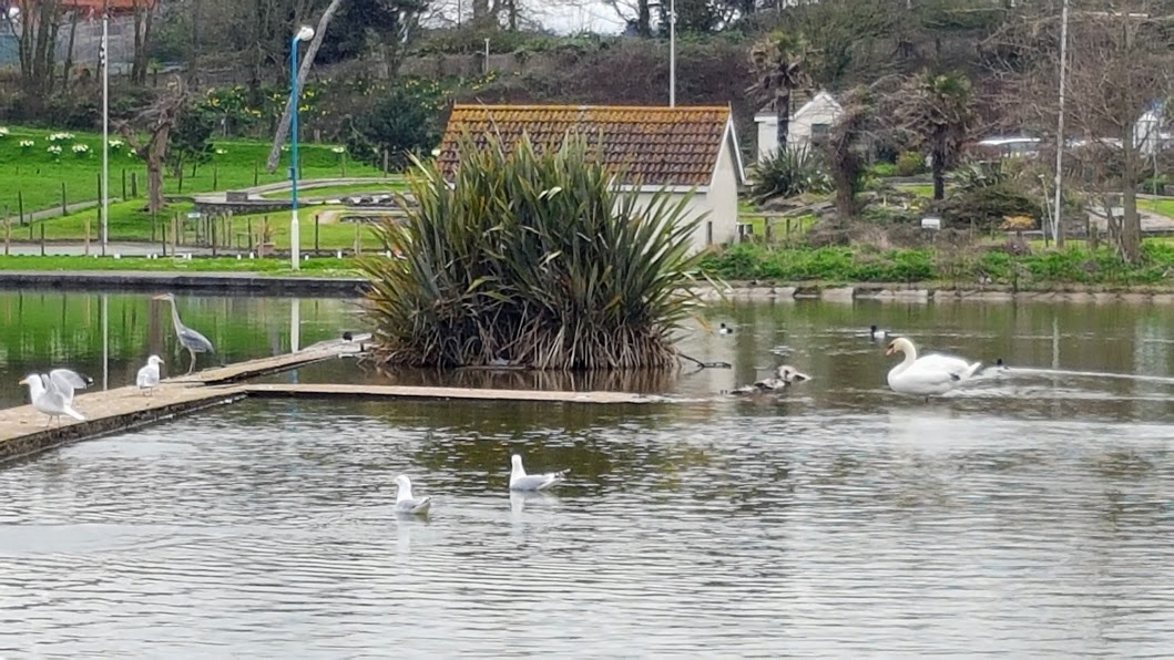 Goodrington Park & Lakes in 360º - Ash Blagdon 360º Photography