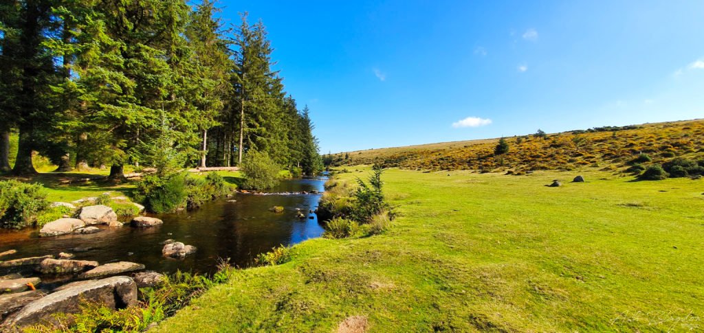 Bellever Forest in 360º - Ash Blagdon 360º Photography