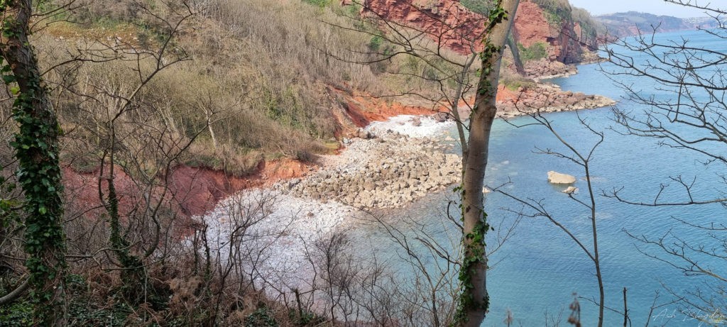 Torbay Beaches in 360º - Ash Blagdon 360º Photography