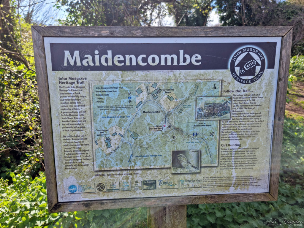 Maidencombe Beach in 360º - Ash Blagdon 360º Photography