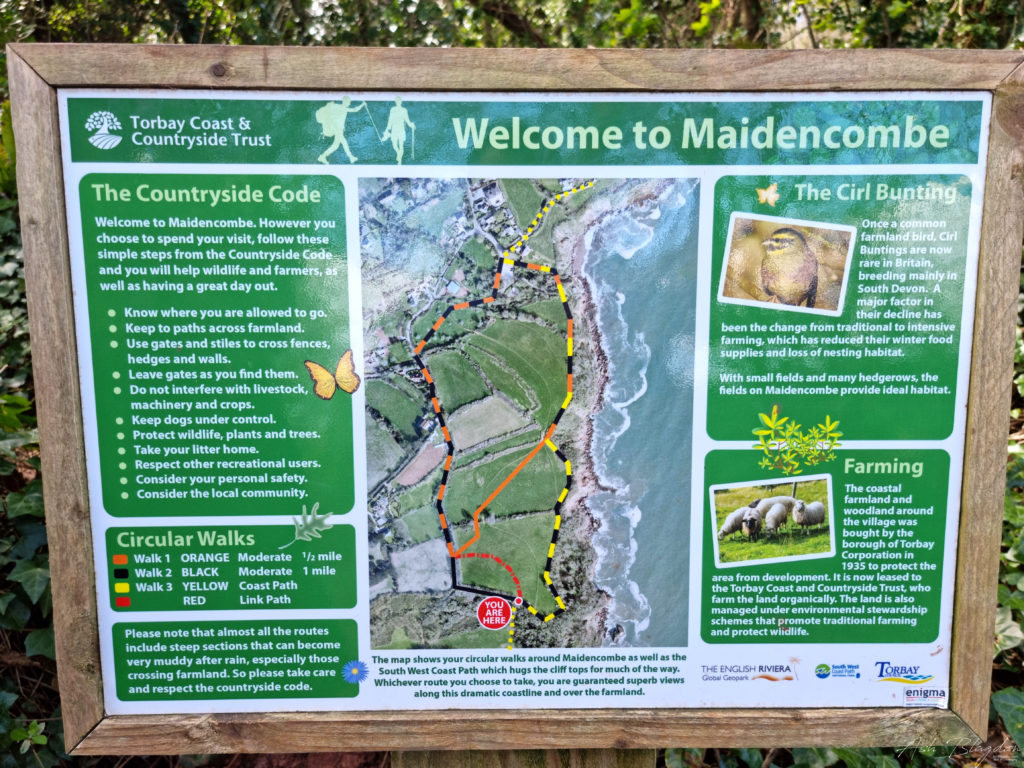 Maidencombe Beach in 360º - Ash Blagdon 360º Photography