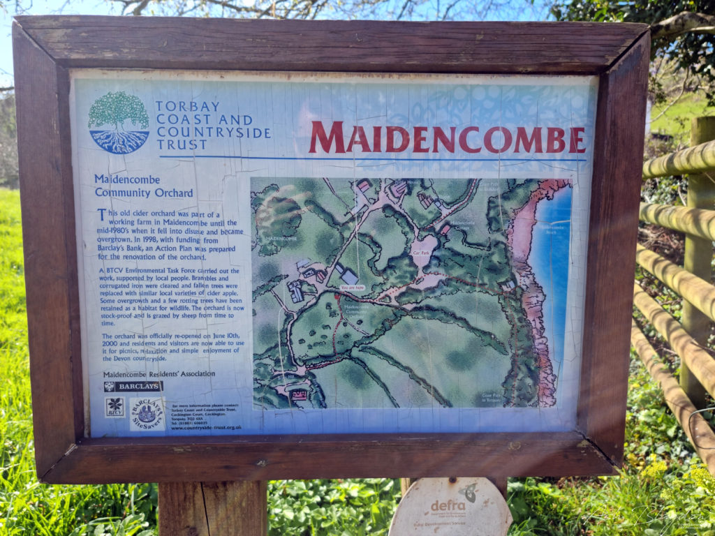 Maidencombe Beach in 360º - Ash Blagdon 360º Photography